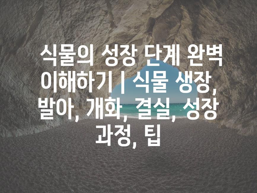 식물의 성장 단계 완벽 이해하기 식물 생장 발아 개화 결실 성장 과정 팁
