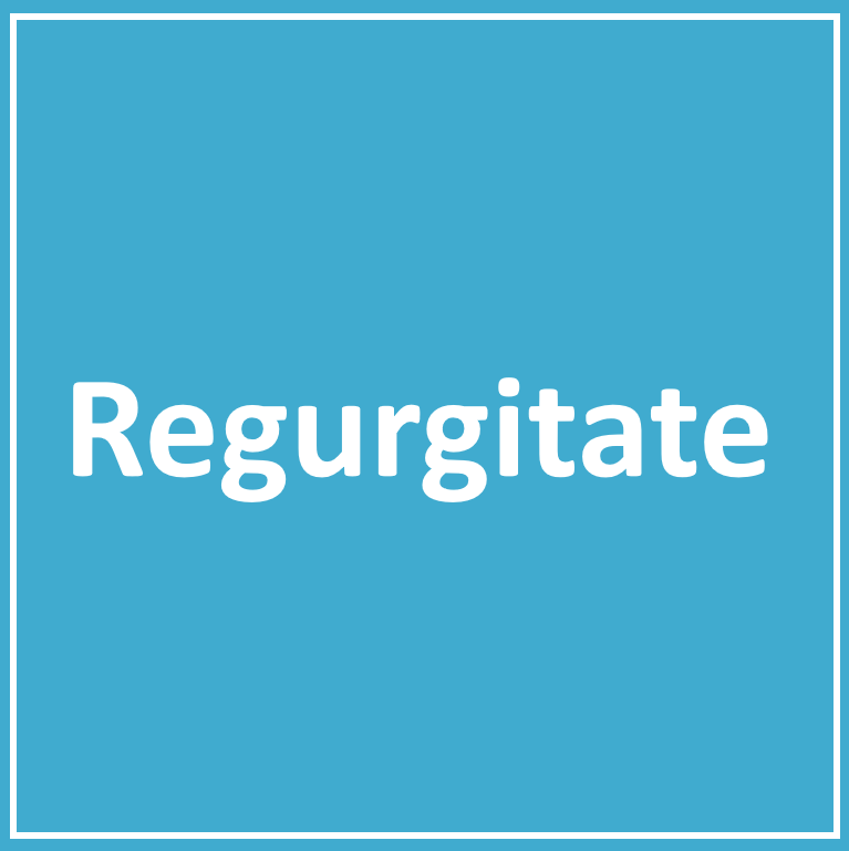 고급영어단어 12. Regurgitate :: Brown English