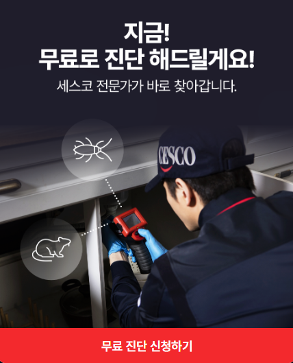 바퀴벌레 세스코 가정집 비용 내돈내산 이용 후기│20평 30평 아파트 면적별 세스코 가격 정보