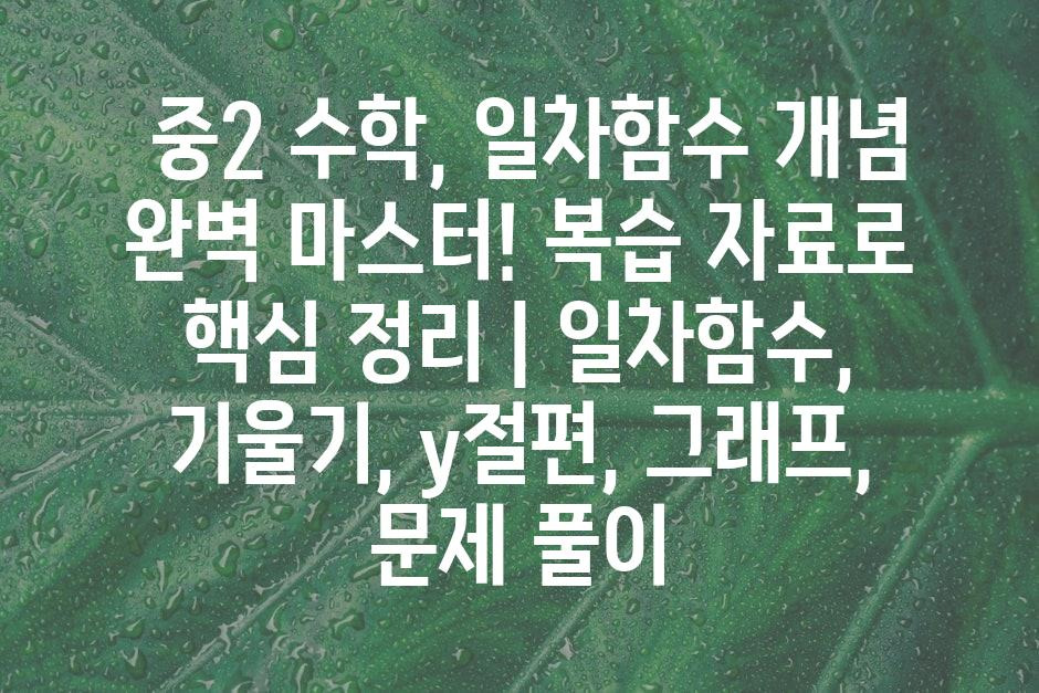 중2 수학 일차함수 개념 완벽 마스터 복습 자료로 핵심 정리 일차함수 기울기 Y절편 그래프 문제 풀이
