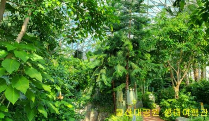 울산 아기랑 실내 갈만한곳 베스트10 해피크린