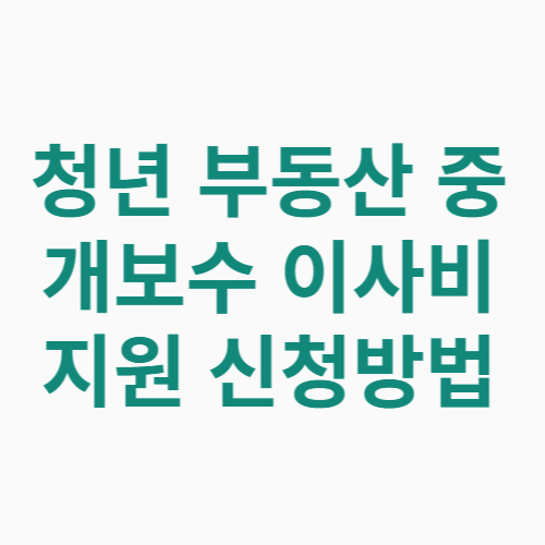 청년 부동산 중개보수 및 이사비 지원 신청방법 자격 대상 이코노미 뉴스