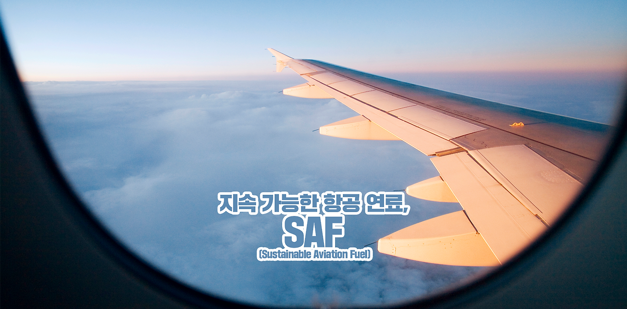 지속 가능한 항공 연료 Saf