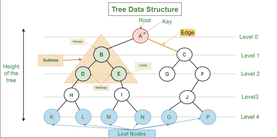트리 개념 정리 - 이진탐색트리(BST), 자가균형이진탐색트리(AVL / red-black tree), Trie, Heap, B ...
