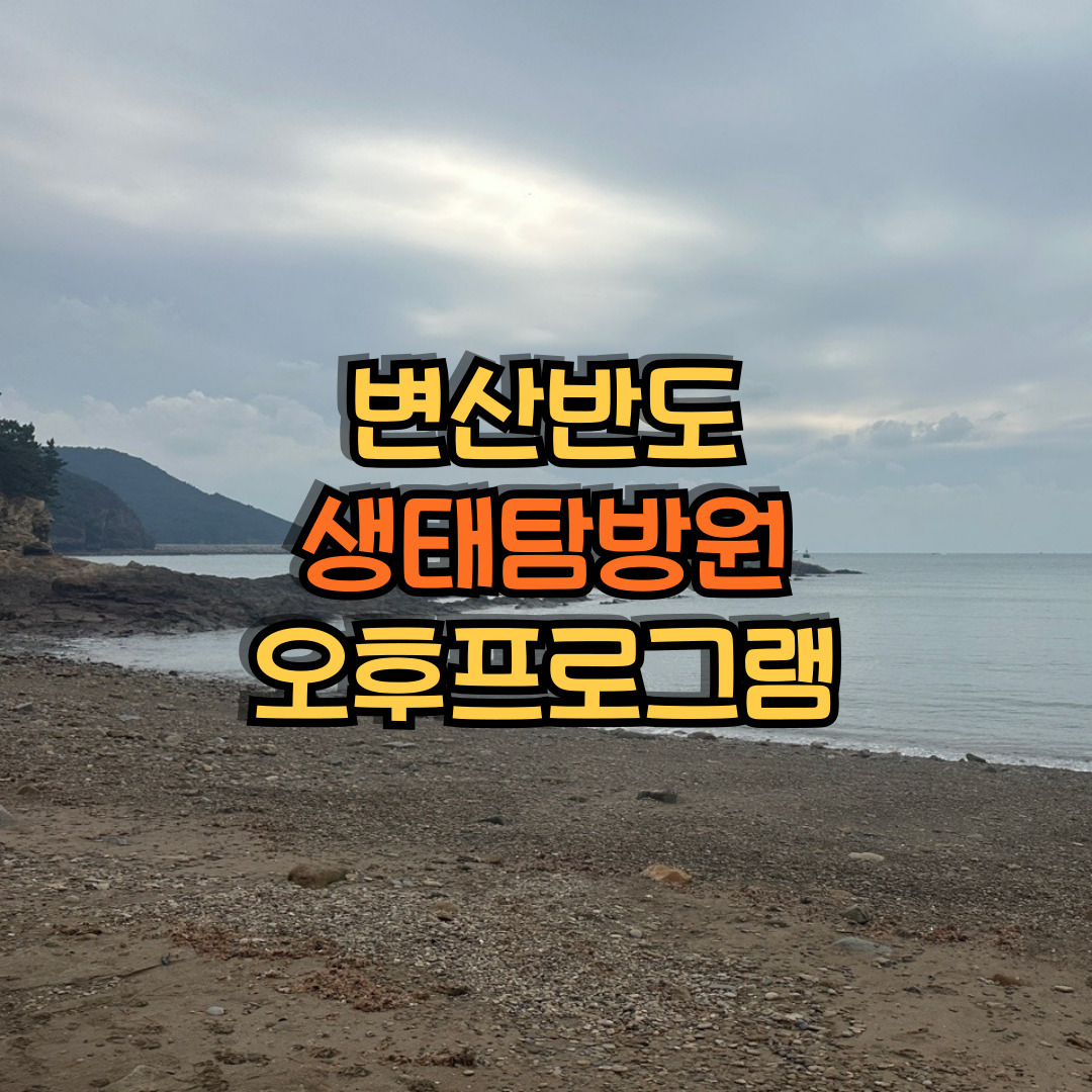 변산반도생태탐방원 오후프로그램 변산반도 세계지질공원으로 가geo 후기