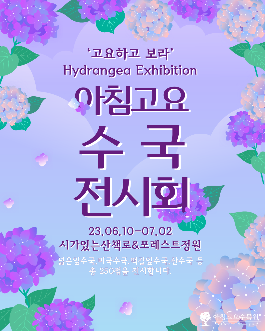 가평 가볼만한곳 아침고요수국전시회