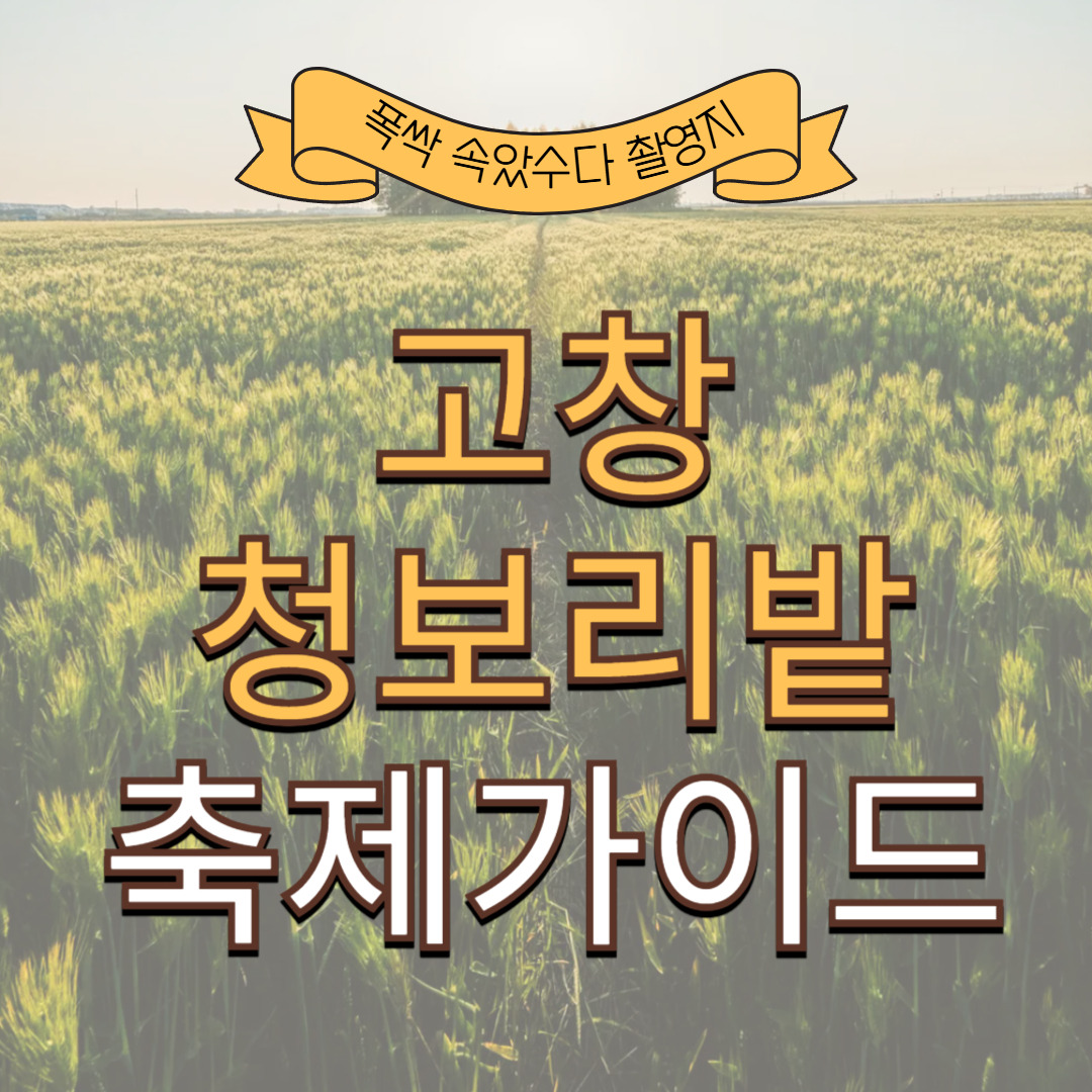 2025 고창청보리밭 축제 완벽 가이드｜폭싹 속았수다 촬영지 입장료·가는 길·인생샷 명소 총정리