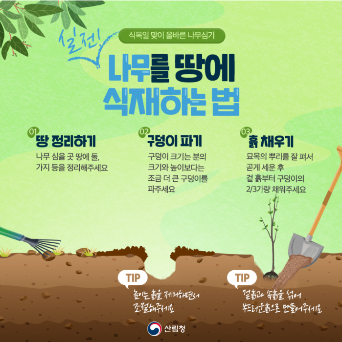 식목일의 개요와 유래 공휴일 지정 그리고 나무심는 방법
