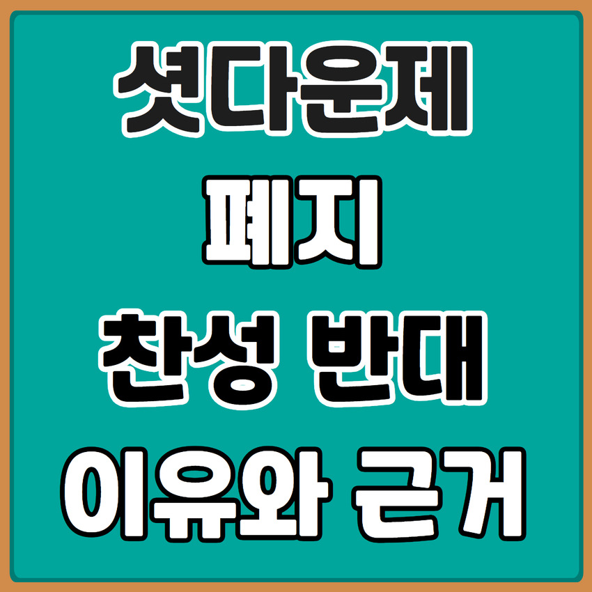 셧다운제 폐지 찬성 반대 이유 근거 쟁점까지
