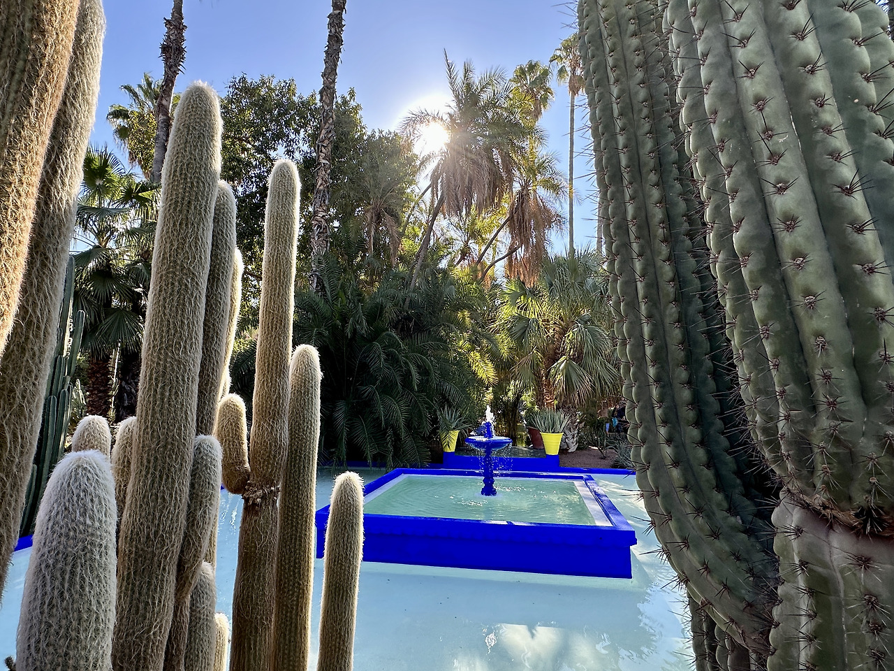 마조렐 정원 Jardin Majorelle 자르뎅마조렐 마조렐 블루 마조렐 정원 입장료