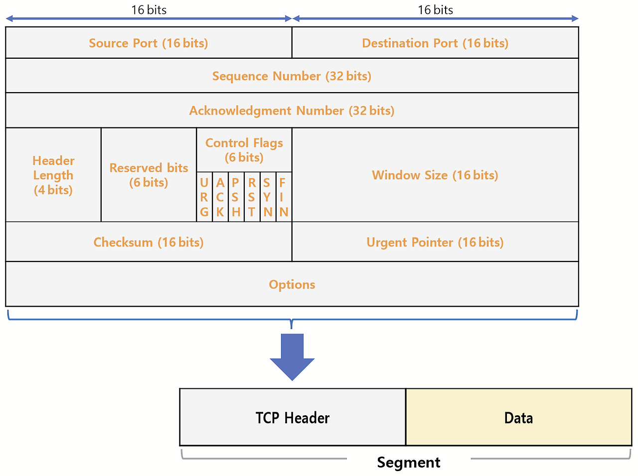 Sequence Number 와 Acknowledgment Number