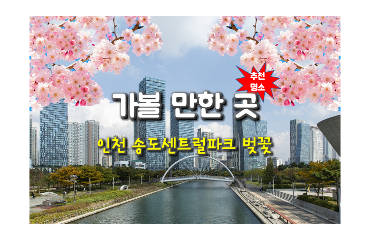 가볼만한곳 인천 송도 센트럴파크 벚꽃명소