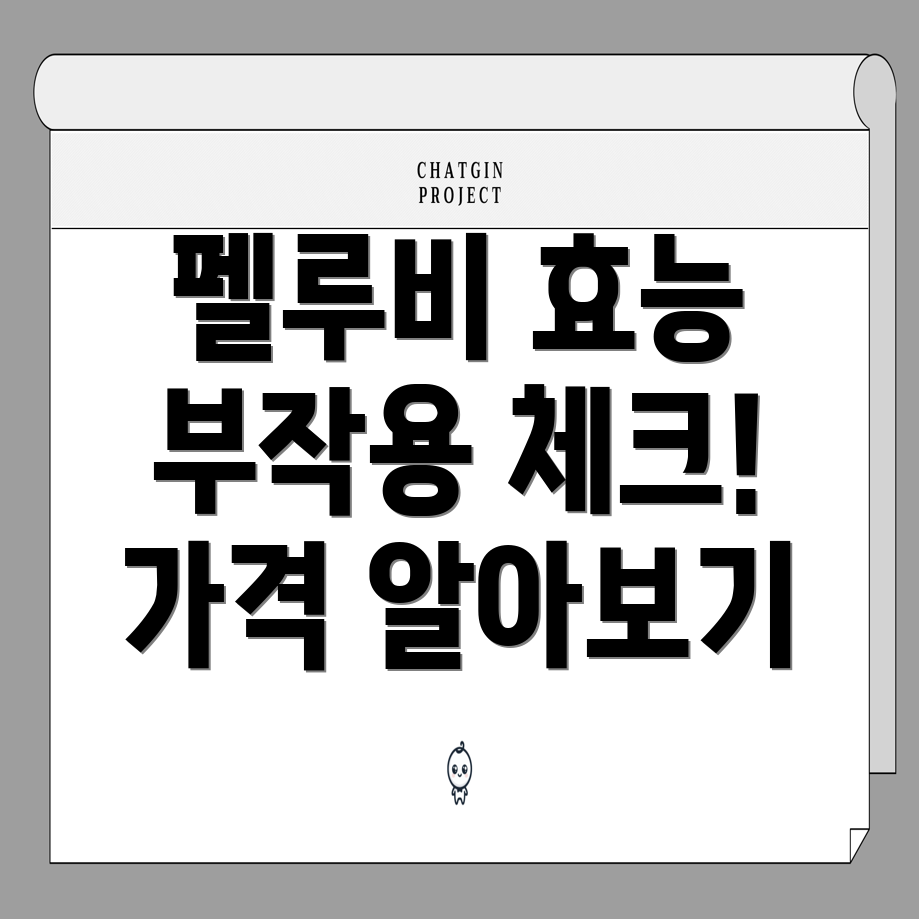 펠루비서방정과 펠루비프로펜 효능 부작용 및 가격