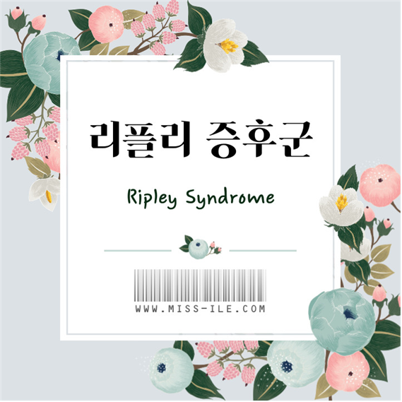 리플리 증후군ripley Syndrome의 원인과 치료법 예방 방법