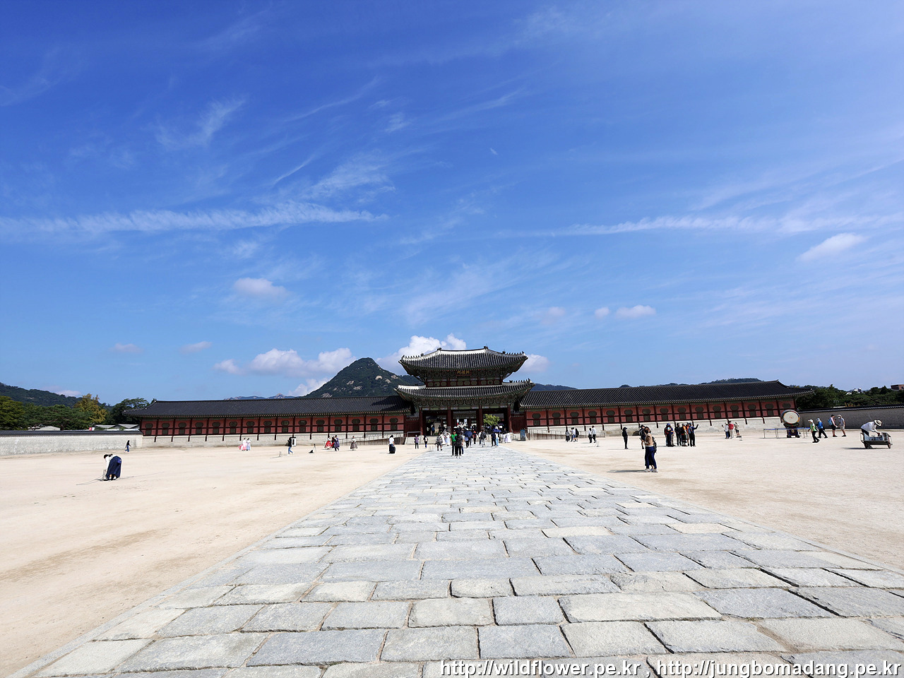 추석 명절 무료 개방 조선 5대 궁궐경희궁 덕수궁 경복궁 창경궁 창덕궁 방문기 2022 09 12