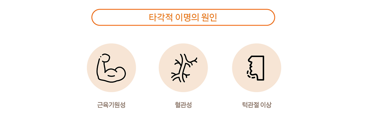 귀에서 나는 삐 소리 이명은 왜 발생하는 것일까