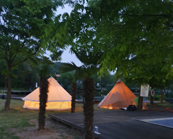경기 포천 폴라데이 캠핑장 예약 방법 애견 동반 가격 주소 시간 후기 댕댕캠핑 전국 애견동반 캠핑장