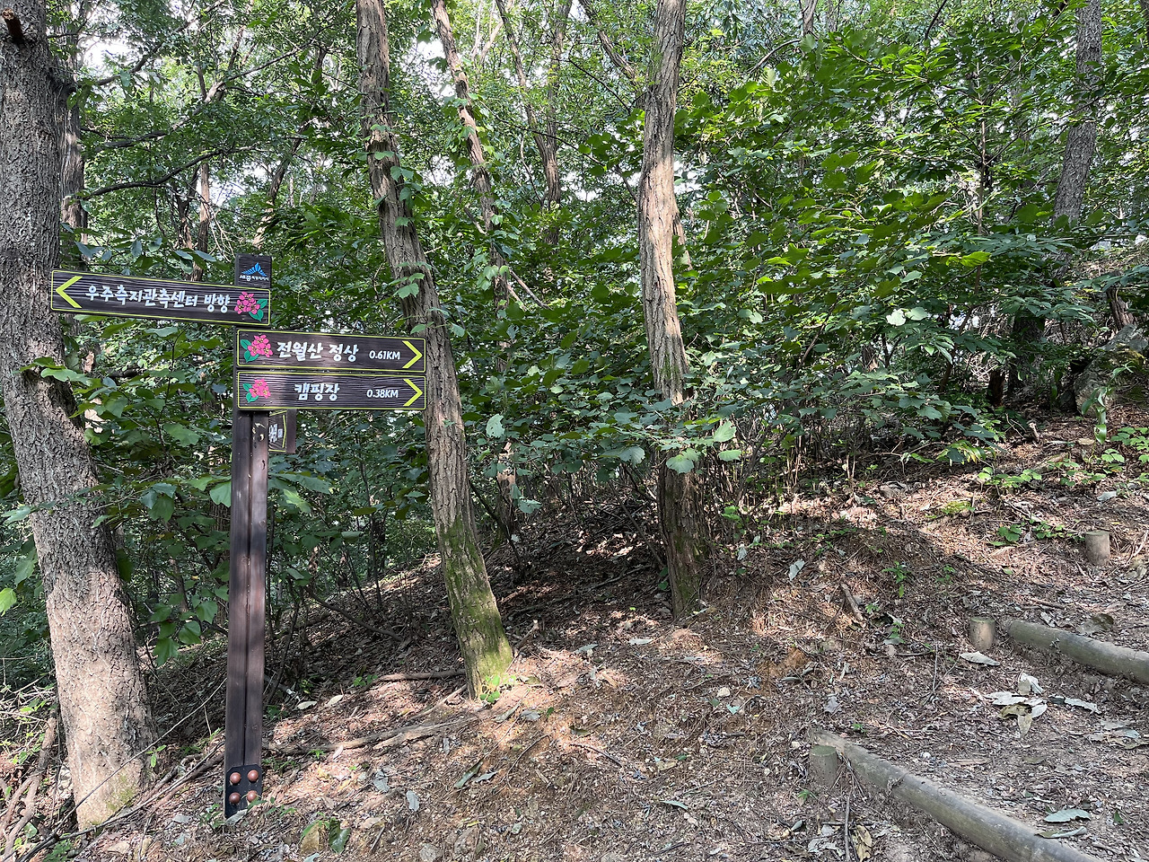 세종시 가볼만한 곳 전월산 등산 코스