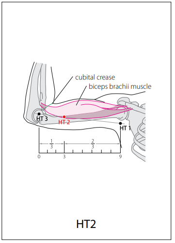 [경혈검색] 수소음심경(HT) > HT2 청령 (靑靈)