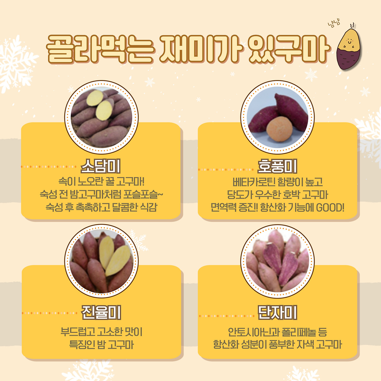 겨울철 간식 겸 다이어트에 도움되는 고구마 종류