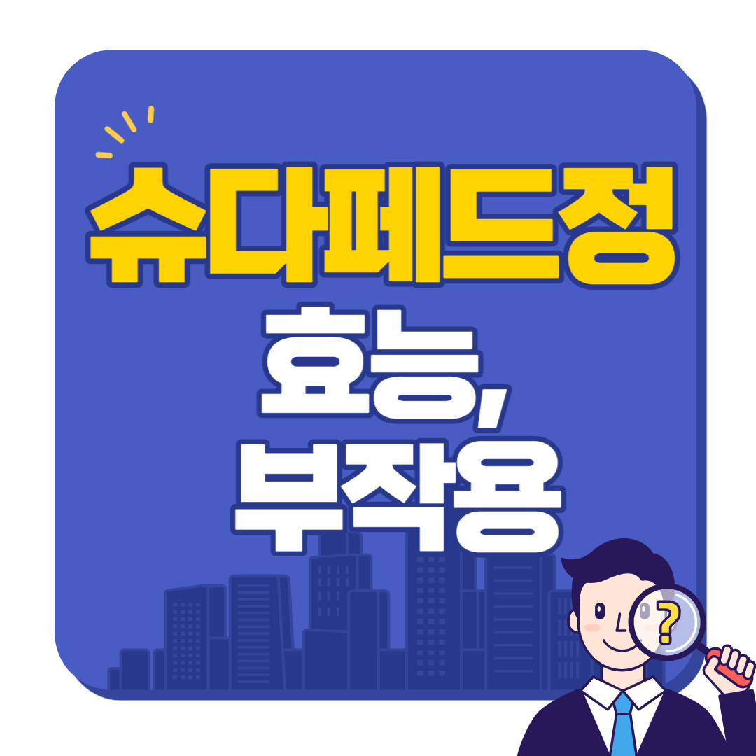 슈다페드정 효능과 부작용 의사가 해주는 총정리 닥터진몬의 건강이야기