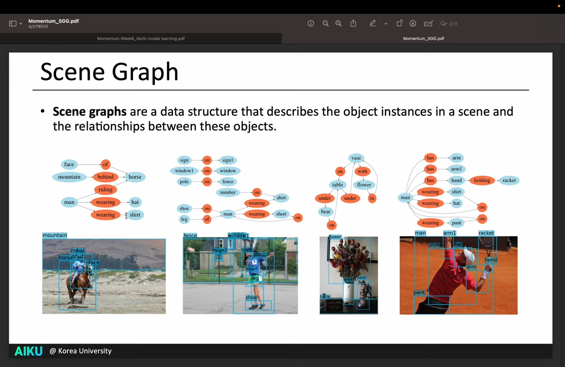 Scene Graph Generation