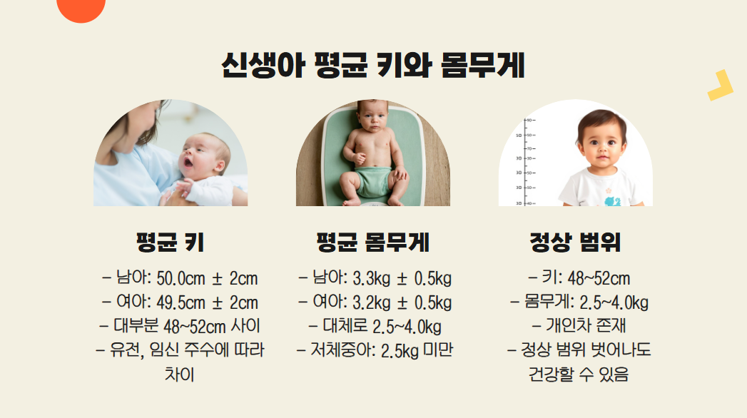 1 신생아 평균 키와 몸무게는 얼마일까