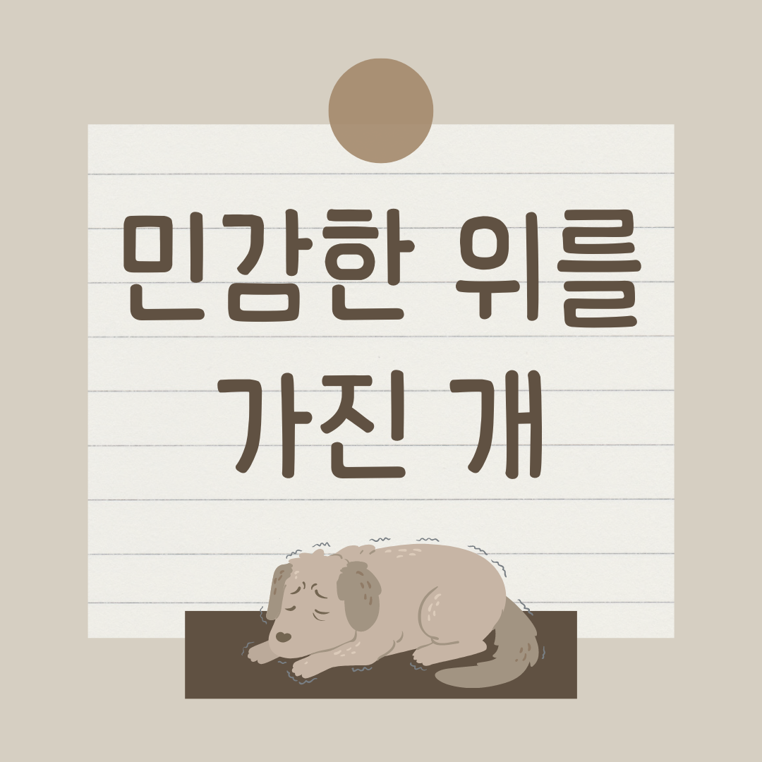 민감한 위를 가진 개를 위한 최고의 음식은 무엇 개에 관하여