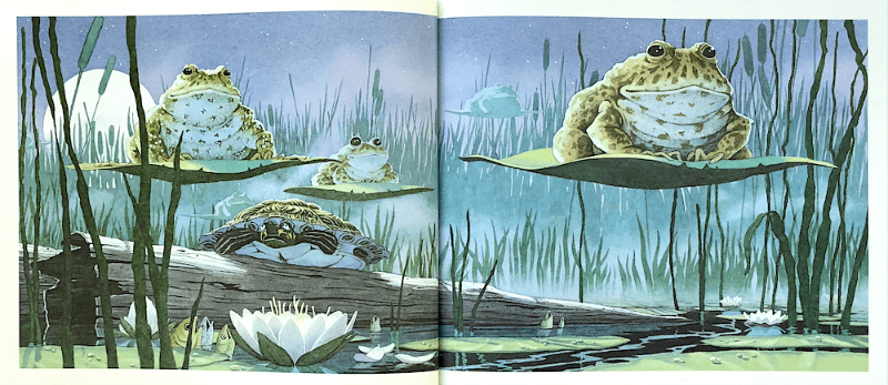 데이비드 위즈너, 이상한 화요일 | David Wiesner, Tuesday