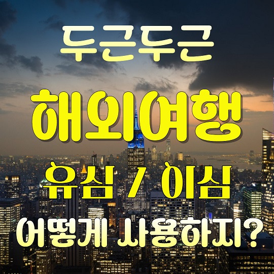 해외 여행 Usim And Esim 유심 And 이심 장단점 구매방법 사용방법