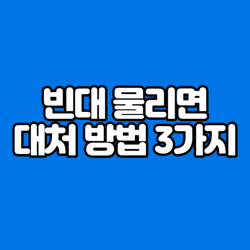 빈대 물리면 대처 방법 3가지