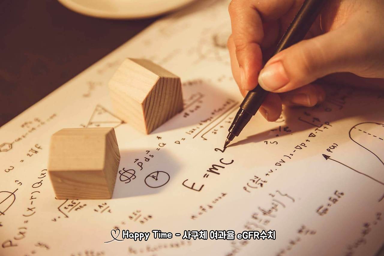 신장기능평가 사구체 여과율 Egfr 수치 계산방법과 정상 범위