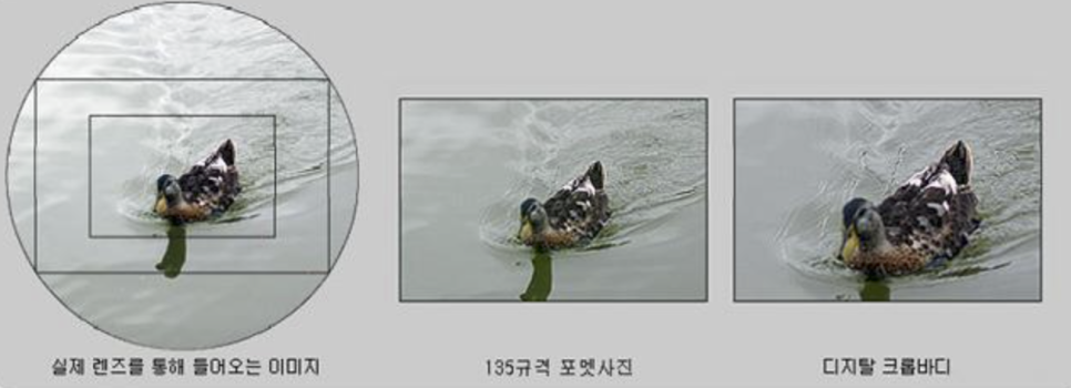 사진으로 보는 비네팅vignetting 현상 Feat 5d Mark4 아트 삼식이시그마 A 30mm F14 Dc Hsm