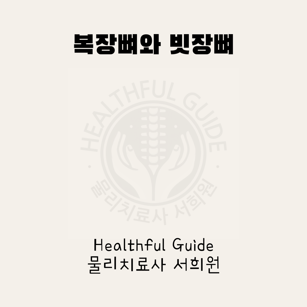 어깨복합체 복장뼈와 빗장뼈