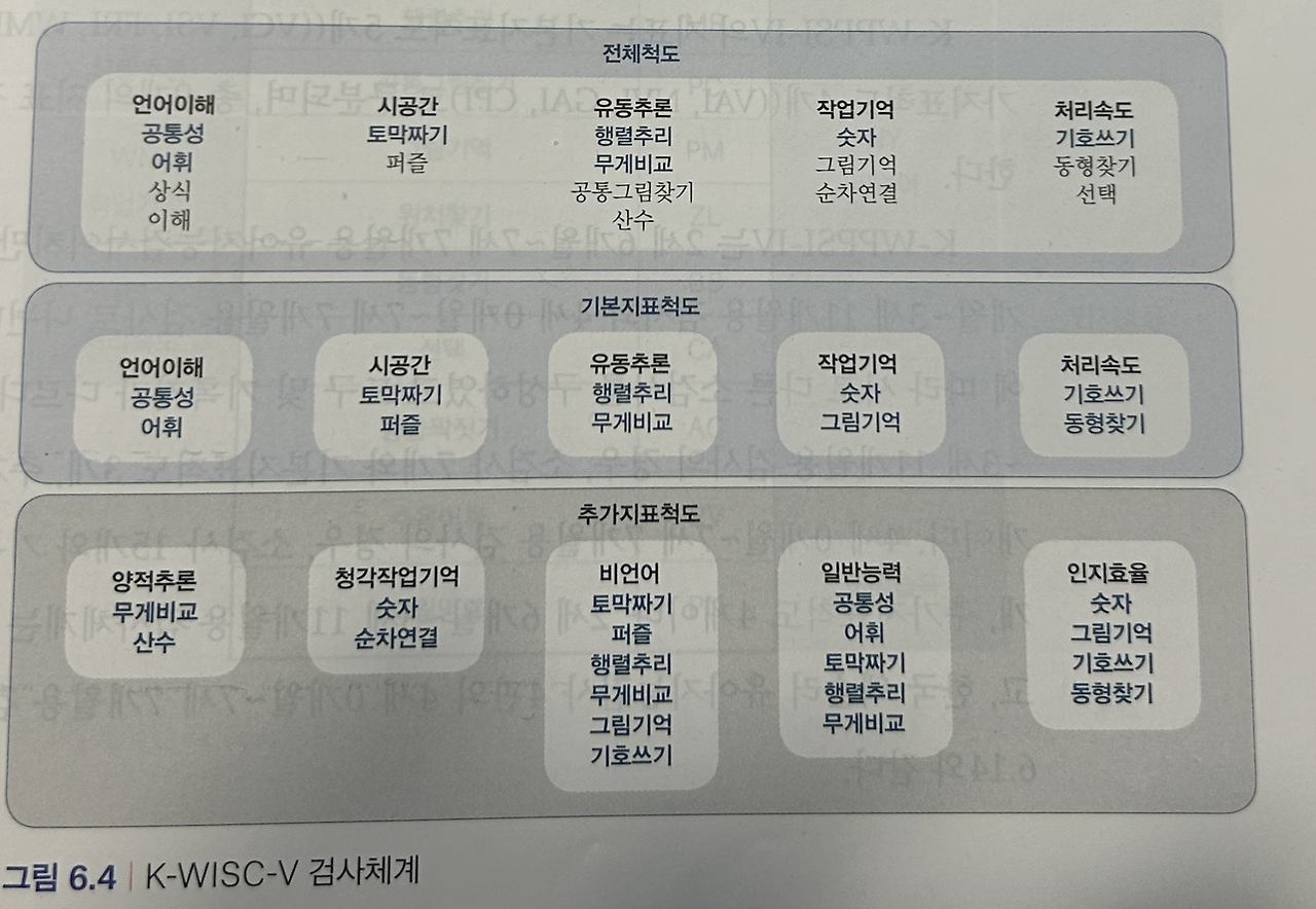 지능검사 한국 웩슬러 아동 지능검사 K Wisc Iv4판 And K Wisc V5판 구성 4판과 5판의 차이