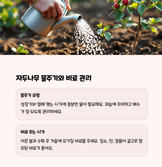 자두나무 키우기 종류 가지치기 방법 약치는 시기병충해 묘목 심기 꽃 수확시기