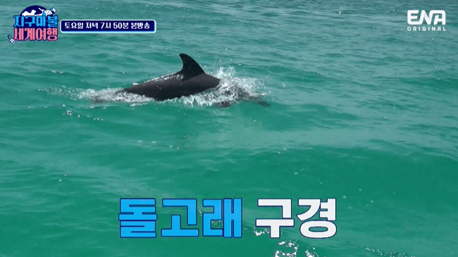 탄자니아 잔지바르 섬 능귀해변 돌고래 곽튜브 여행추천