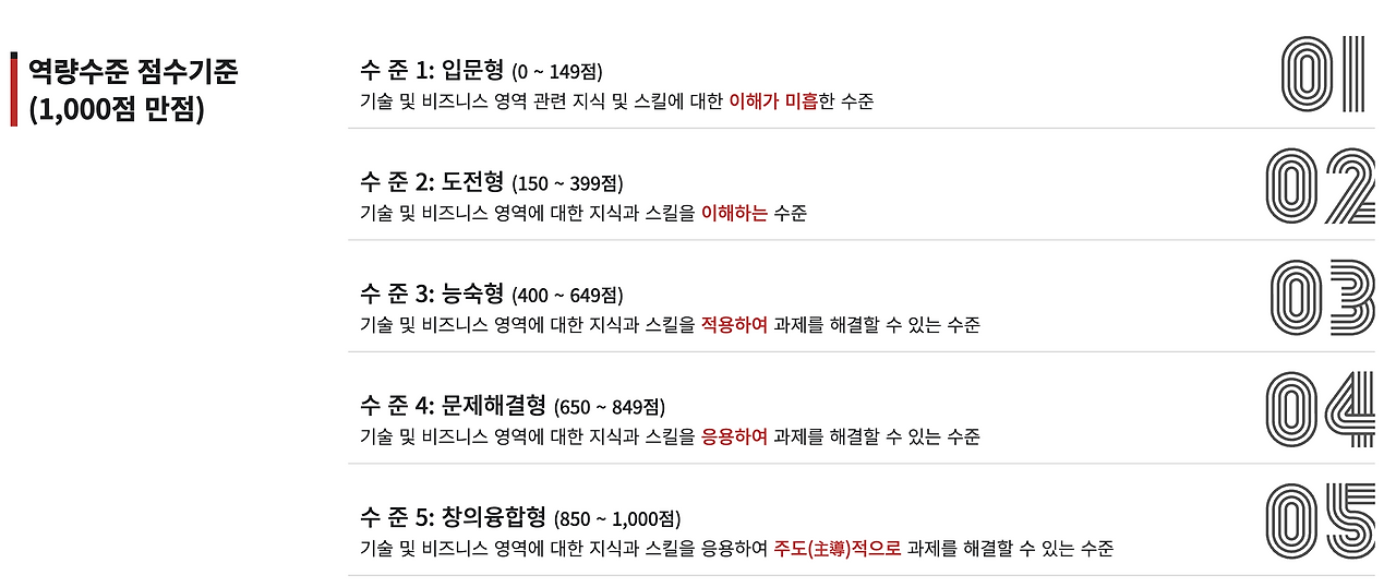 TOPCIT 후기 및 공부방법