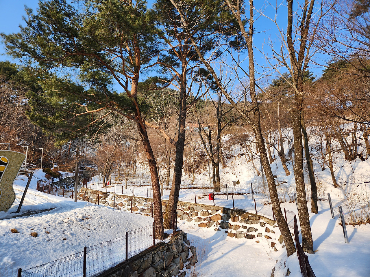 강원도 캠핑장 추천 차박and계곡 인제 진동리국민여가캠핑장