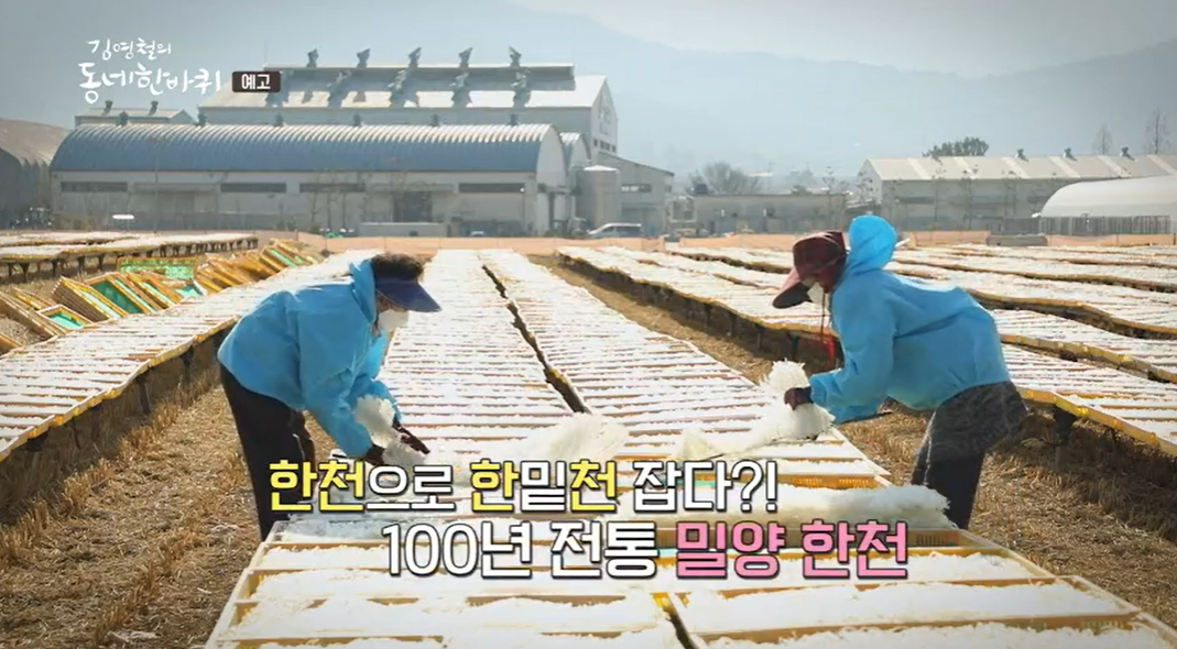 김영철의 동네한바퀴 밀양 한천 파는 곳 구매 택배 주문 방법 밀양한천 테마파크 정보