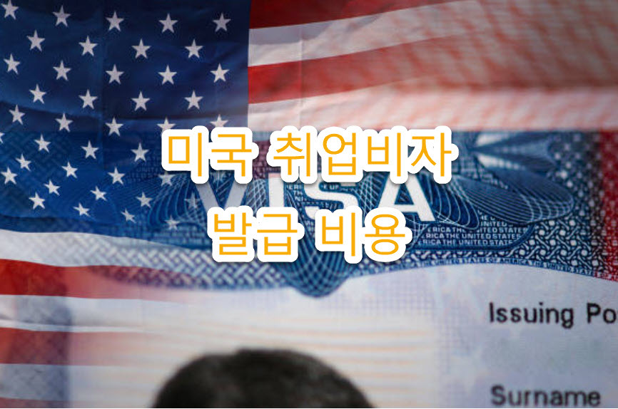 한국에서 미국 취업비자 H 1b 비자 신청절차 완벽정리