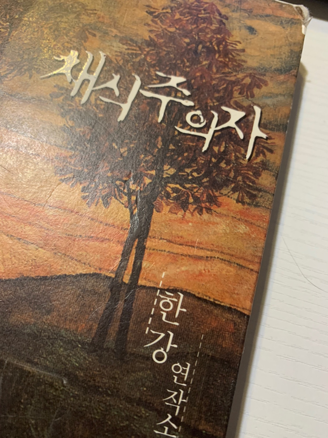 채식주의자 한강 리뷰 줄거리 결말 해석 이 책을 이해하기 힘든 사람들을 위하여 지식으로 돈벌고싶습니다