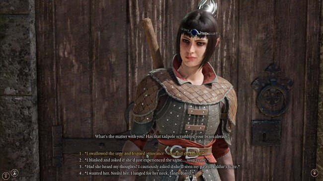 발더스게이트3 번역기 유저 한글 패치 아님 Baldur’s Gate 3 Mort Settings