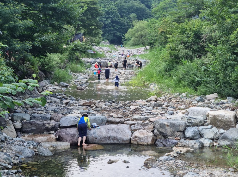 경기 포천 담터금학 캠핑장 예약 방법 애견 동반 가격 주소 시간 후기 댕댕캠핑 전국 애견동반 캠핑장