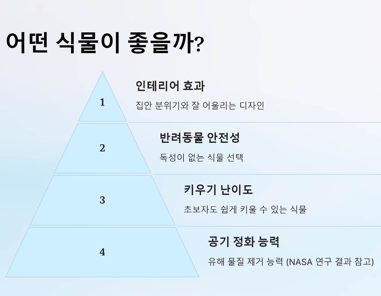 실내 공기정화식물 추천 Top 7 나사 추천 식물 키우기 쉬운 식물