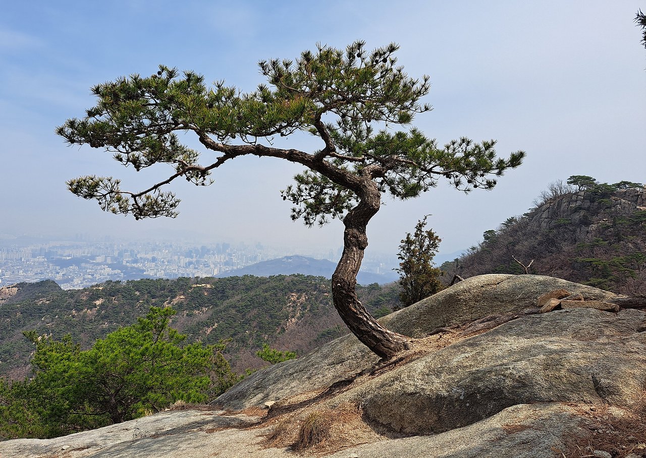 관악산 자운암능선 등산코스 정보자운암능선 연주대 사당능선