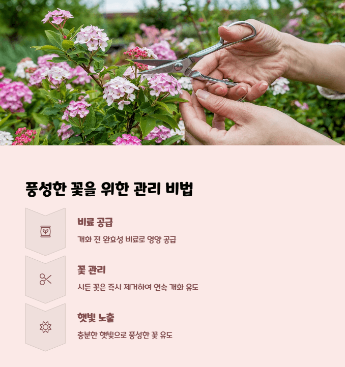 조팝나무 키우기 꽃 개화시기 종류 꽃말 이팝나무 차이 삽목시기 및 방법