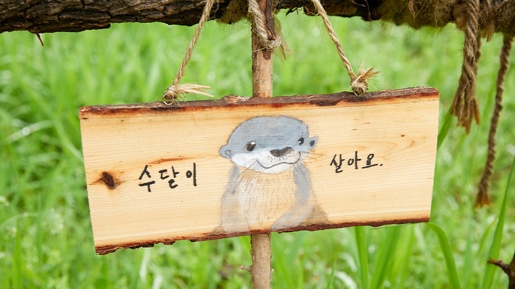 더 현대적인 마음 L 한강에 수달이 산다 수달 서식지 환경정화활동