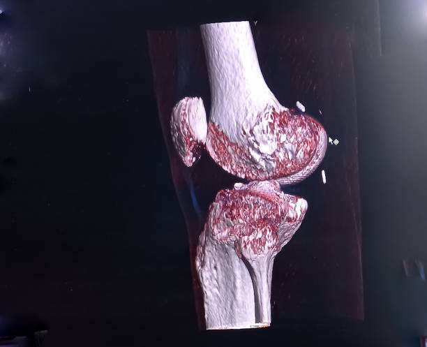 인터넷 개명신청방법 온라인으로 신청하는 이름바꾸기