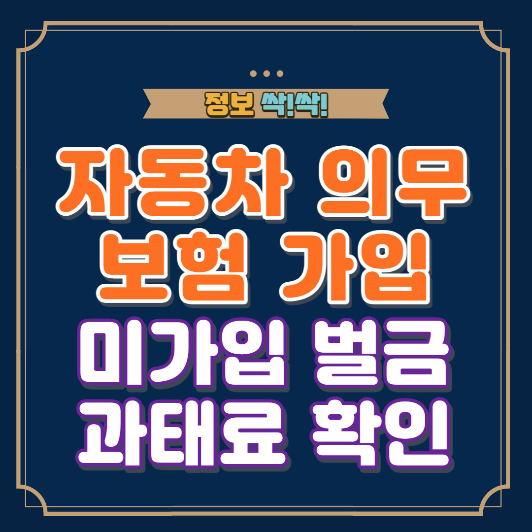 자동차 의무보험 가입 내용 및 미가입 벌금 과태료 확인